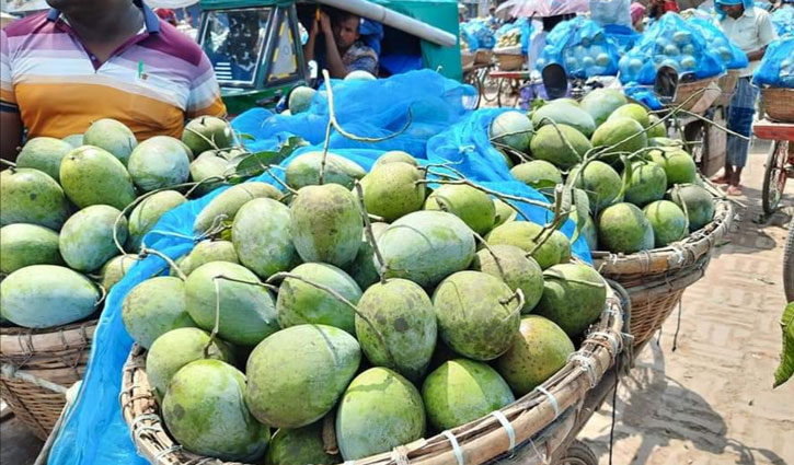 আশ্বিনা/ঝিনুক (Ashwina/Jhinuk Mango) – Sapahar Mango